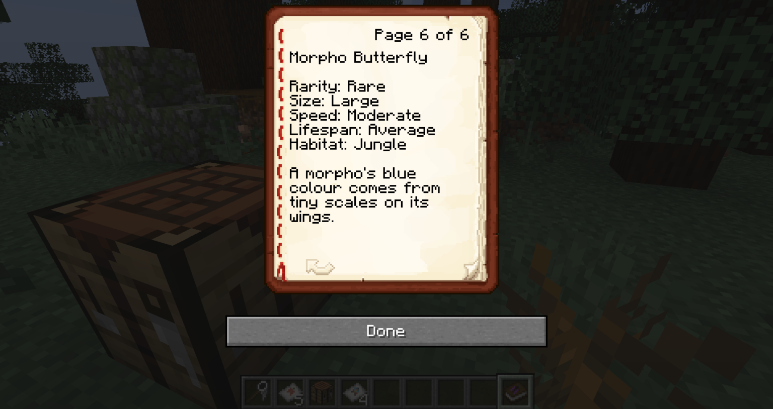 Bok’s Banging Butterflies - Doc Bok